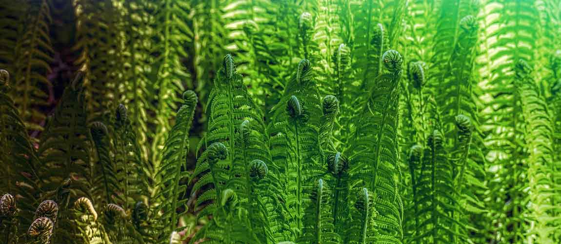 Startseite - Gravity Shift