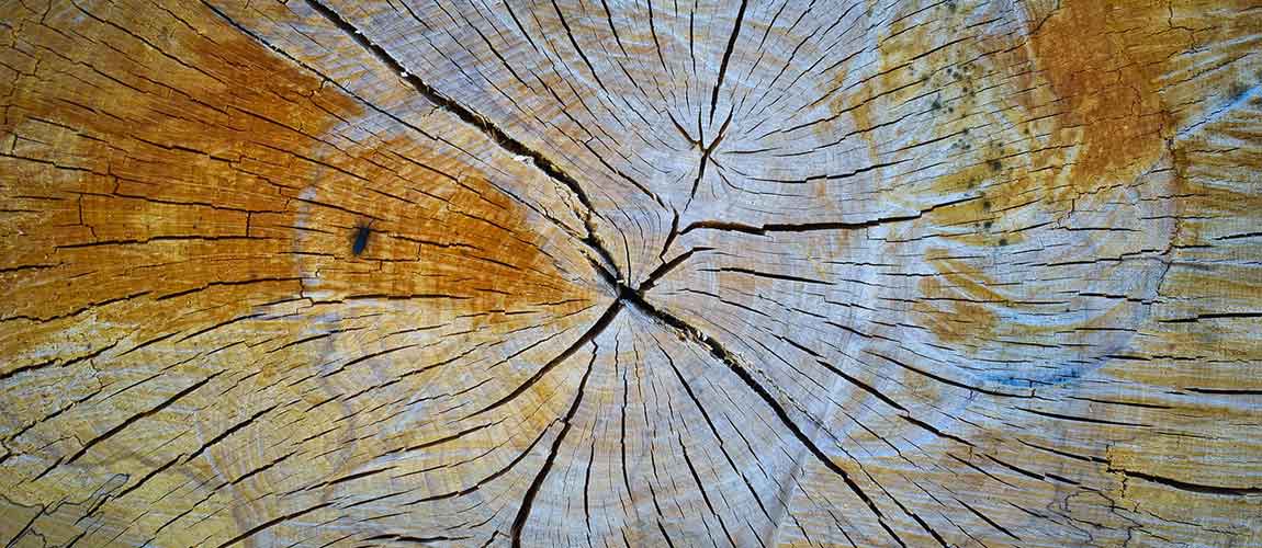 Startseite - Gravity Shift