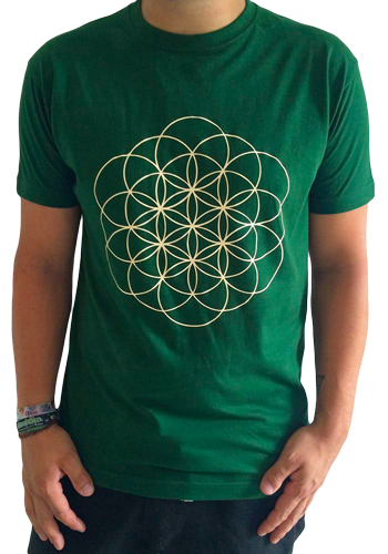 Startseite - Gravity Shift